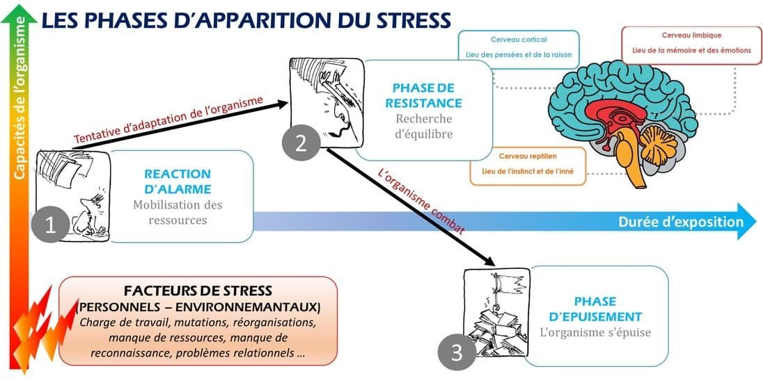 Mécanismes du stress au travail : les comprendre et les identifier pour ...